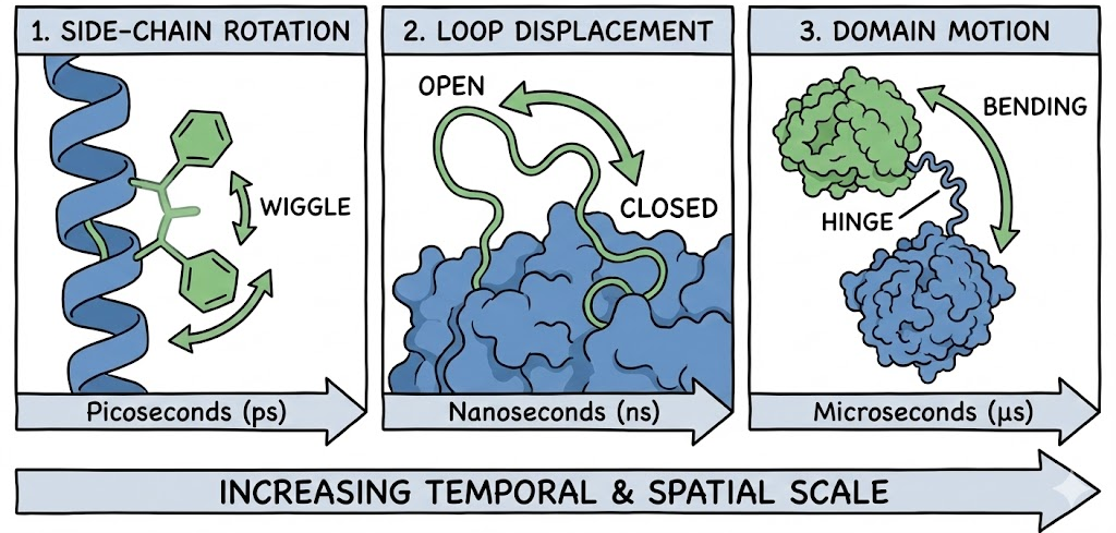 Ensemble Docking vs Static docking. When Does Protein Flexibility Matter?